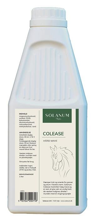 Solanum Colease - Solanum - Støvlsig Hestefoder